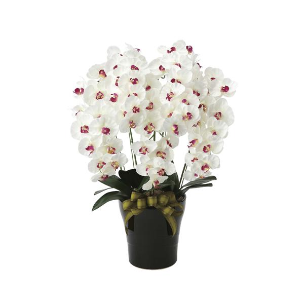 心もカラダも優しく癒すアートフラワー！胡蝶蘭の花言葉は「幸福が飛んでくる」とされ、各種お祝い事に人気があります。面倒な水やりや鉢の植え替え等が不要な光触媒人工植物です。本物のような美しさでお部屋を飾りながら空気までクリーンにしてくれます。 ...