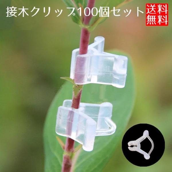 「トマトやナスの接ぎ木（接木）を、簡単・確実に固定したい」「病害虫（病害虫対策）に強い苗を作りたい」そんなガーデニング（園芸）のニーズに応える、接ぎ木クリップ100個セットです。■簡単・確実な接ぎ木作業台木と穂木を固定する専用クリップ。病害...
