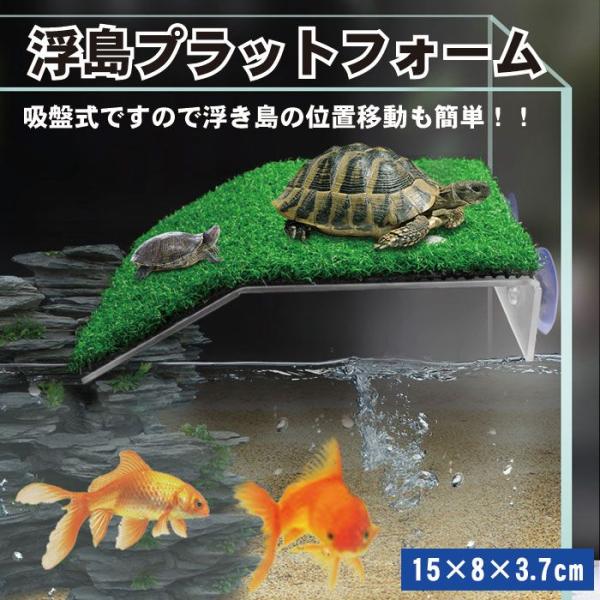 亀をはじめ爬虫類や両生類が亀をはじめ爬虫類や両生類が日光を浴びて休憩するのに最適な浮島プラットフォーム。太陽光を浴びることで寄生虫の除去や健康促進の効果を高めるので、カメ達が元気に活動してくれます。自然の生活環境に近づけた傾斜なので、滑りに...
