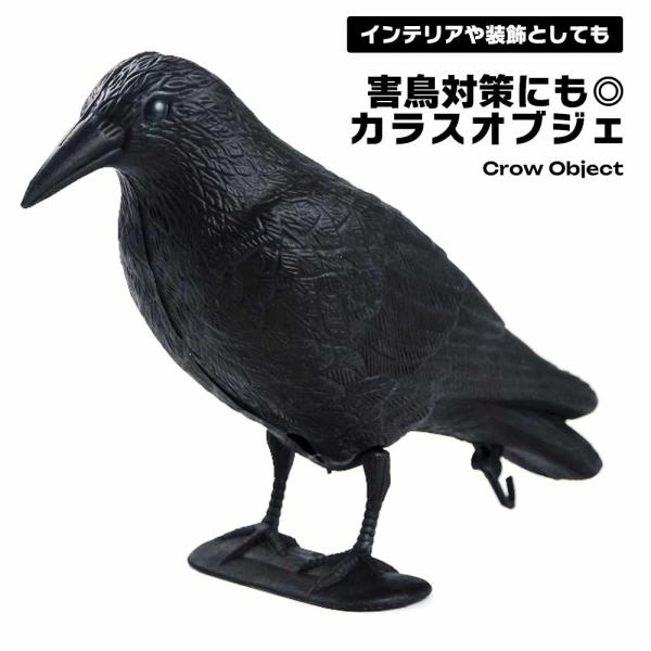 ベランダのフン害や、家庭菜園の作物が鳥に荒らされて困っていませんか？この超リアルなカラスの模型（オブジェ）が、害鳥を警戒させて撃退します。◎リアルな見た目で威嚇本物のカラスそっくりのリアルな造形と大きさ。鳩（ハト）、スズメ、ムクドリなどの鳥...