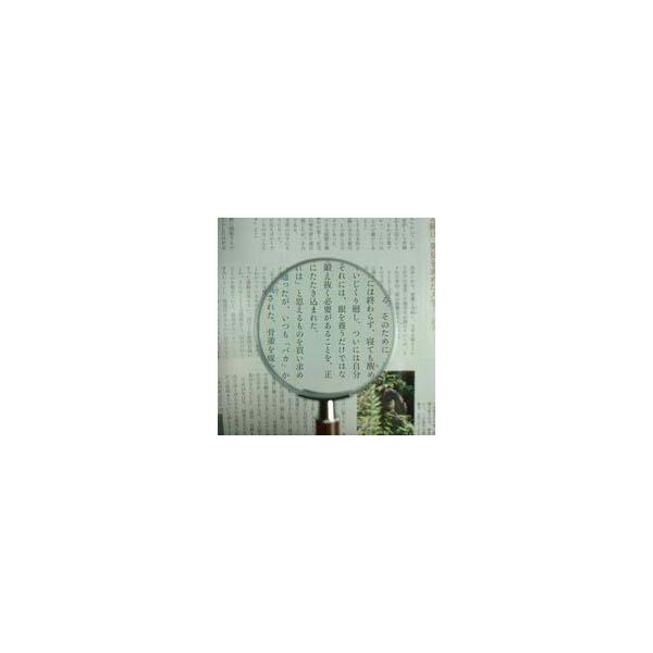 ルーペ,手持ちルーペ,虫めがね,デラックスルーペ,拡大鏡 2.5倍,75mm,観察,老眼,読書 拡大レンズ,ハンドル付き,倍率,天眼鏡,ルーペスタジオ デラックスルーペ手持ちルーペ2.5倍75mm｜拡大鏡｜虫めがね｜ルーペスタジオ49630...