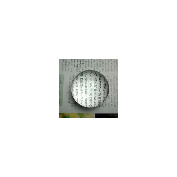 ペーパーウェイト,文鎮,ルーペ,60mm,アウトレット 5倍,デスク用品,書類整理 文房具,オフィス用品,ペーパーウェイトルーペ,文鎮ルーペ アウトレットペーパーウェイト文鎮ルーペ60mm｜5倍拡大｜デスク用品ホワイトガラス製レンズ倍率5倍...