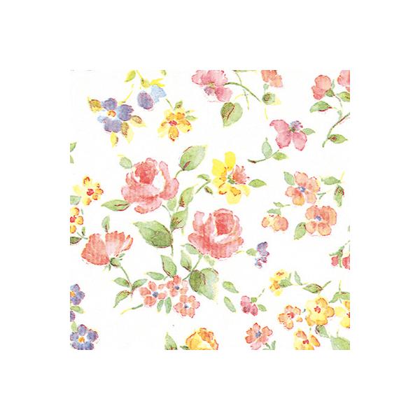 ●規格：半才●寸法：縦５３０×横７５７ｍｍ●紙質：上質紙