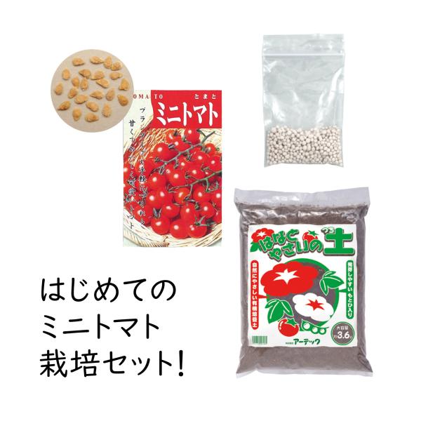 初心者向けプランター簡単育てやすい学校教材小学校自由研究野菜づくり野菜植物幼稚園ミニトマト,トマト,栽培セット家庭菜園,ガーデニング,野菜栽培トマト栽培,ミニトマトキット,植物育成ミニトマト栽培基本セット｜家庭菜園ガーデニング野菜栽培かわい...