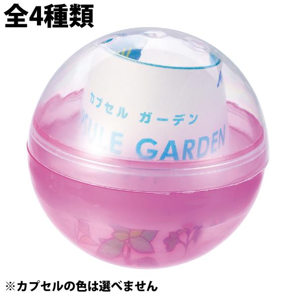 カプセルに入ったかわいいハーブの栽培キット種から育てるハーブの栽培キット!1カプセル1種入り※カプセルの色は選べません。商品サイズ:120×200×100mm■商品サイズ：120×200×100mm■セット内容：カプセル、圧縮土、種、取扱説...