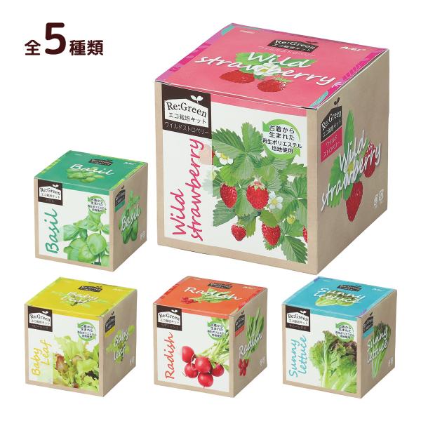 古着から生まれた再生ポリエステル培地楽しく育てておいしくエコ。商品サイズ:W98×D98×H98mm■商品サイズ：W98×D98×H98mm■重量：230g■材質：ポリエステル、ポリプロピレン■セット内容：ポリエステル培地種肥料容器■生産国...