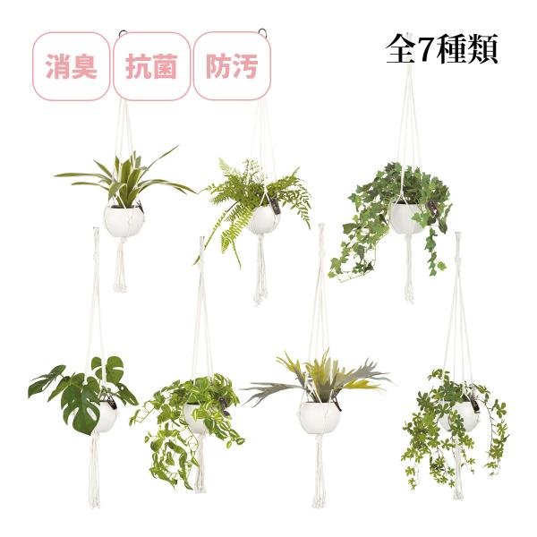 造花キシマKishimaCT触媒オブジェ水やりいらずエクリア,フェイクグリーン,人工観葉植物消臭,CT触媒アーティフィシャルグリーン,ハンギング,吊り下げ,シュガーバイン,マクラメハンギング,空気清浄エクリアフェイクグリーン｜消臭アーティフ...