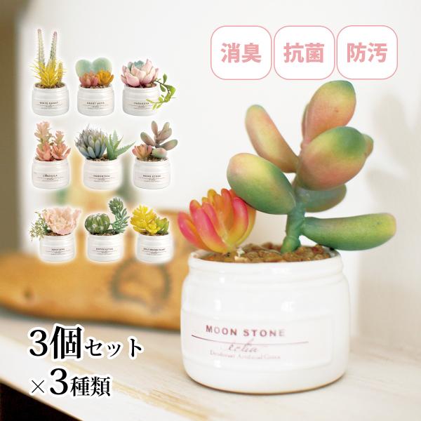 造花キシマKishimaCT触媒オブジェリアル水やりいらずエクリア,人工観葉植物,フェイクグリーン多肉植物,消臭,鉢植え人工植物,観葉植物,ミニ観葉植物,インテリアグリーン,グリーン,アーティフィシャルグリーン,置物,飾り,ミニ,おしゃれ,...