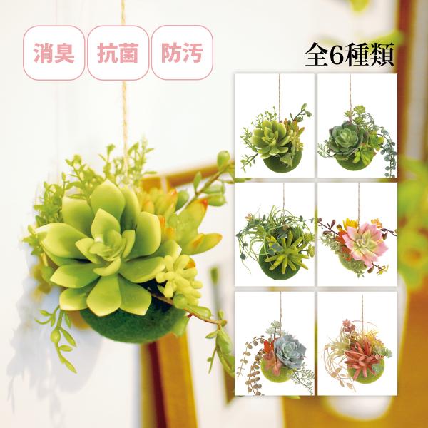造花キシマKishimaCT触媒オブジェカントリーナチュラル水やりいらずエクリア,多肉植物,フェイクグリーン消臭,抗菌,人工観葉植物,Sサイズ,吊り下げアーティフィシャルグリーン,インテリア,グリーン,観葉植物,人工,多肉ボールエクリアフェ...
