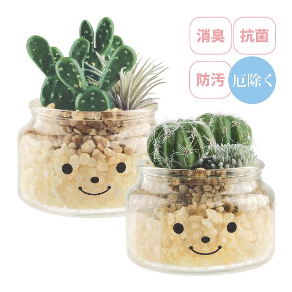 造花キシマKishimaCT触媒抗菌オブジェ水やりいらず観葉植物,フェイクグリーン,人工観葉植物,アーティフィシャルグリーン消臭,ミニ,おしゃれ,鉢植造花,グリーン,インテリア,famille,ファミーユ,雑貨,置物,リアル,Brian,ブ...