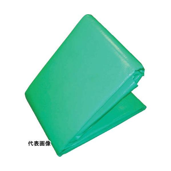 梱包用品 シート・ロープ カラーシート ●産業用、土木用、農業用として幅広い用途の中期使用型シートです。●屋内外工事現場の保護カバー、養生シート。●農水産業用シート。●色：グリーン●幅(m)：3.6●長さ(m)：5.4●厚さ(mm)：0.2...