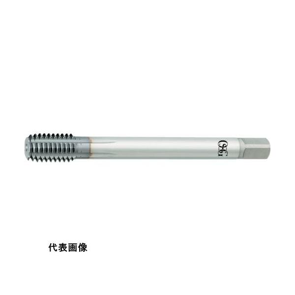 切削工具 ねじ切り工具 ロールタップ ●炭素鋼・合金鋼において切削タップに比べ切りくずトラブルが無く、長寿命な加工が可能です。●止まり穴加工用。●被削材：低・中・高炭素鋼、合金鋼、調質鋼(25〜35HRC)、ステンレス鋼、銅、黄銅、黄銅鋳物...