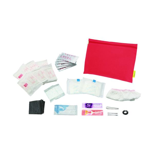 環境改善用品 防災・防犯用品 避難用品 ●女性のための防災セットです。●女性の確かな目線で作られた非常時でも安心して過ごせるアイテムセットです。●外形寸法(mm)幅：300●外形寸法(mm)奥行：220●外形寸法(mm)高さ：60●防災レデ...