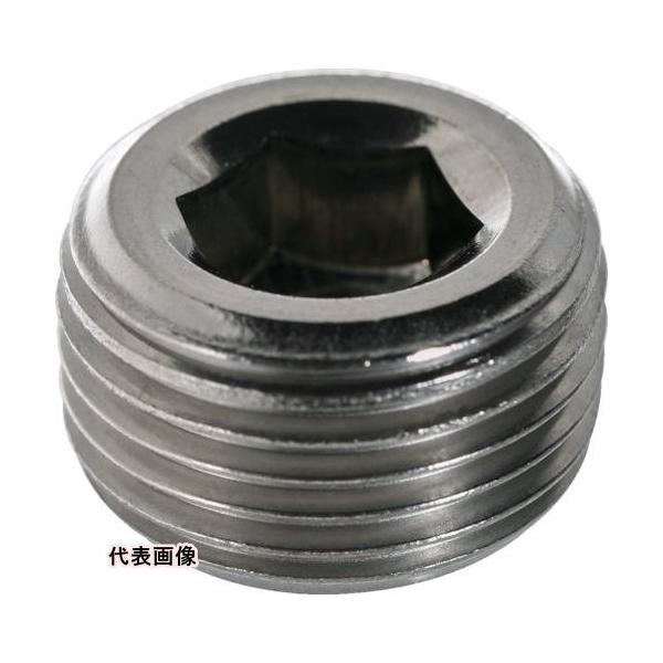 金物・建築資材 ねじ・ボルト・ナット 六角穴付止めねじ ●配管用止め栓です。●沈みタイプのプラグです。●一般油圧機器、空圧機器、ポンプ、自動車などの分野で耐密用。●呼び寸法：PT1/2●二面幅B(mm)：10●六角穴深さ(mm)：6●長さt...