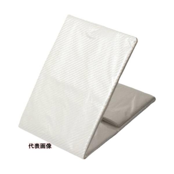 梱包用品 シート・ロープ カラーシート ●#3000シートに比べて5倍以上の約5年の耐候性が有ります。●アルミハトメの代替として、分別不要なジョイントホール(ビンゴ穴)を採用してます。●約3年耐候品です。●5年を目安としたカバー、保護材に。...