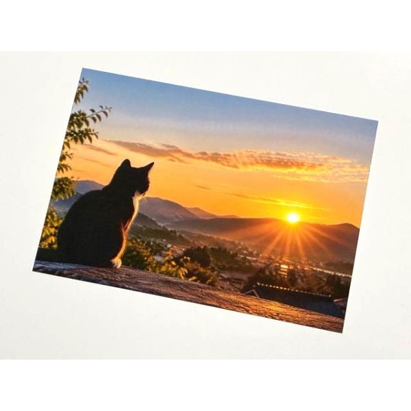 昇太陽さんとくろねこの世界を、リアルフォトアートとして表現したLサイズ写真です。絵本「くろねこシリーズ」の世界観から生まれた、やさしい朝のひととき。空から見守る昇太陽さんと、その姿を見上げるくろねこ。物語の世界を現実へ映し出したオリジナル作...