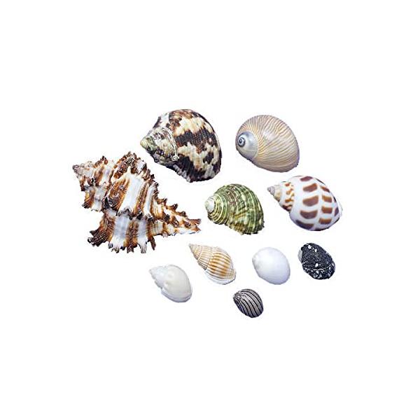 パッケージ個数:1