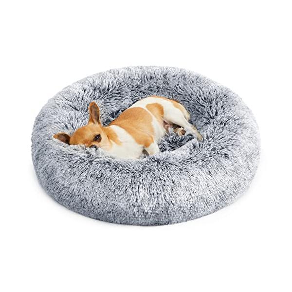 ライトグレー/50L x 50W x 20H cm/-・Size:50L x 50W x 20H cmColor:ライトグレー・パッケージ個数:1・?安心な素材：PP綿+パイル。弾力性のよいPP綿をたっぷり充填したこのペットベッドは、柔らか...