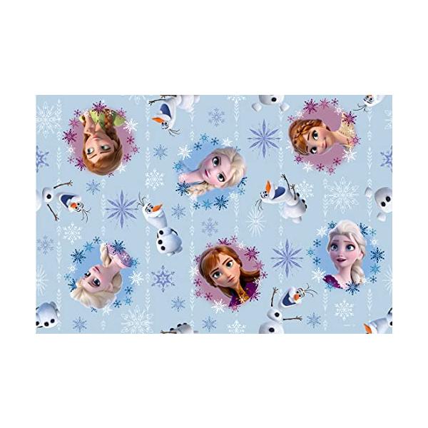 アナと雪の女王アナと雪の女王/Small/なし・Style:アナと雪の女王・パッケージ個数:1・サイズ：Ｓサイズ 約60×90cm（１〜２人用）・材質：ポリプロピレン・原産国：日本