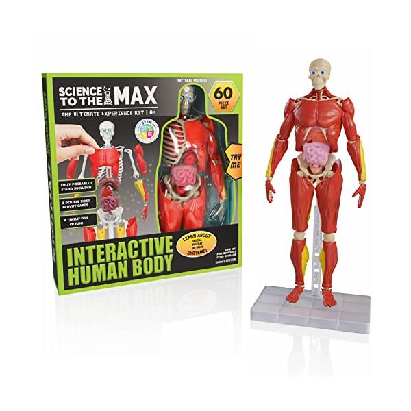 -/ワンサイズ/813268016047・パッケージ個数:1