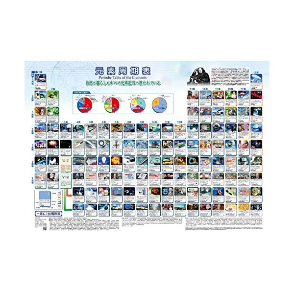 勉強マルチカラー/A2/-・商品サイズ：A2判（420mm×594mm）・ポスターはA4サイズに折りたたんだ状態でのお届けとなります。