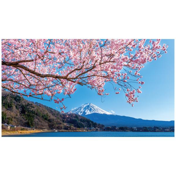 日本製ウォールステッカー 富士山 桜 さくら。あなただけの特別なお部屋のインテリアに。■サイズ：W1060×H600mm■素材：白地マットシート■メーカー：MU3・日本製■ご使用の前に壁材には様々な種類がございますので、中には相性の悪いもの...