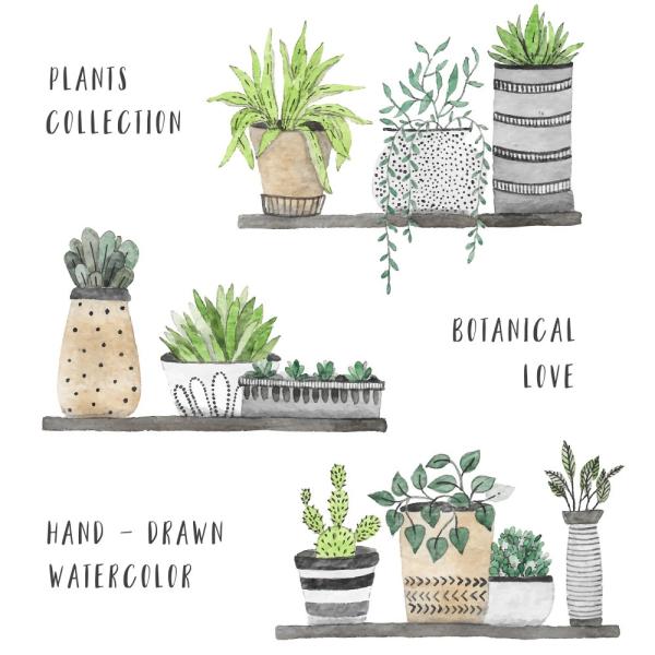 日本製・3MUのウォールステッカー プランター。棚に植物をならべて。スイッチ周り、トイレ、水周り、家電、家具、ドア、リビングなど、色々な場所で使えるウォールステッカーです。インテリアのアクセントに。■シートサイズ：W210×H297mm×3...