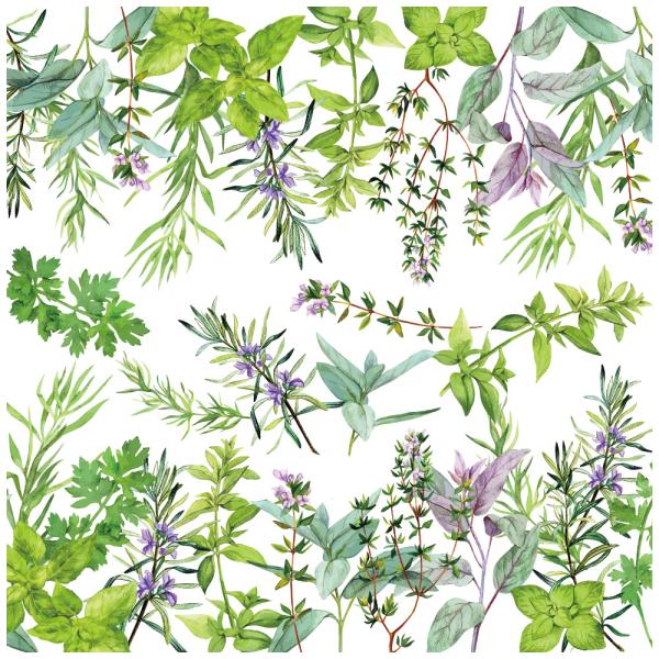 日本製・3MUのウォールステッカー ハーブ。玄関、キッチン、トイレ、お風呂、家電、家具、リビングなど、色々な場所で使えるウォールステッカーです。。インテリアのアクセントに。■シートサイズ：W600×H600mm■素材：MU3透明マットシート...