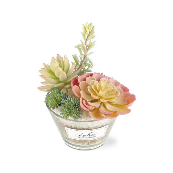 優しいパステルカラーをインテリアにそっと添えて。置くだけ、空気をキレイにするアーティフィシャルグリーン　 まるで本物のように繊細に作られた人工の観葉植物。水やりなどのお世話いらずでお手軽にグリーンのある暮らしが叶います。　CT触媒加工を施し...