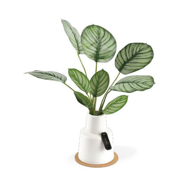 シンプルで長く愛せる人気の植物が揃うグリーンインテリア置くだけ、空気をキレイにするアーティフィシャルグリーン　 まるで本物のように繊細に作られた人工の観葉植物。水やりなどのお世話いらずでお手軽にグリーンのある暮らしが叶います。　CT触媒加工...