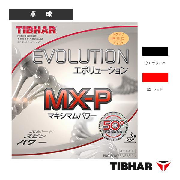 ティバー 卓球ラバー  エボリューションMX-P EVOLUTION MX-P TJR101「テニス・ソフトテニス（軟式テニス）・バドミントン・卓球・ランニング専門店」