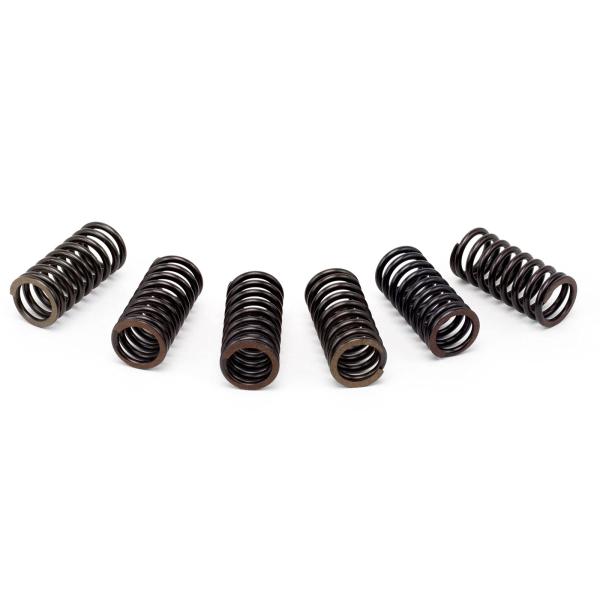 商品名:  Heavy Duty Clutch Spring Kit fits - EXE125 EXE 125 2000-2001 - Repair Clutch Rebuild Kit - Heat-Treated Springs - ...