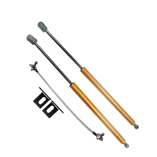 商品名:  Kedoukj Lift Support Struts for Honda Accord 10th CV1 CV2 CV3 2018 2019 2020 2021 2022 2023 Modify Front Hood Bonn...