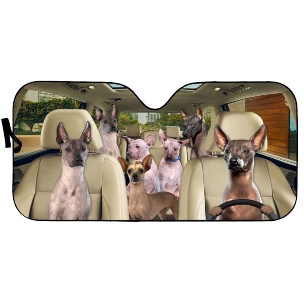 商品名:  Windshield Sun Shade Xoloitzcuintli Car Sun Shade Cover Reflective Sun Keep Your Vehicle Cool and Damage Free Easy...