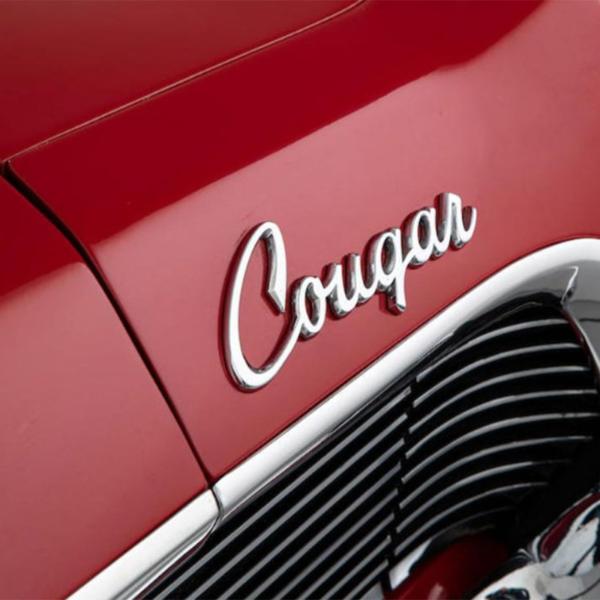 商品名:  VEHASAYO Custom Car Emblems, Stainless Steel Word, Automotive Badges with Durable Metal Design and Strong Adhesive...