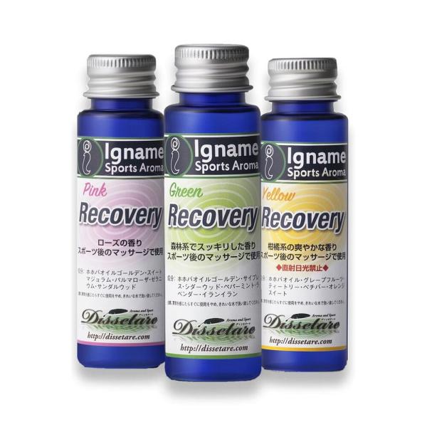 ご利用シーンやイベントなど: お正月 初売り 初詣 お年玉 成人の日 成人式 節分 バレンタインデー 桃の節句（ひなまつり） ホワイトデー 春物入荷 お花見 入学式 ゴールデンウィーク 母の日 衣替え 父の日 梅雨 夏物入荷 山開き 海開き...