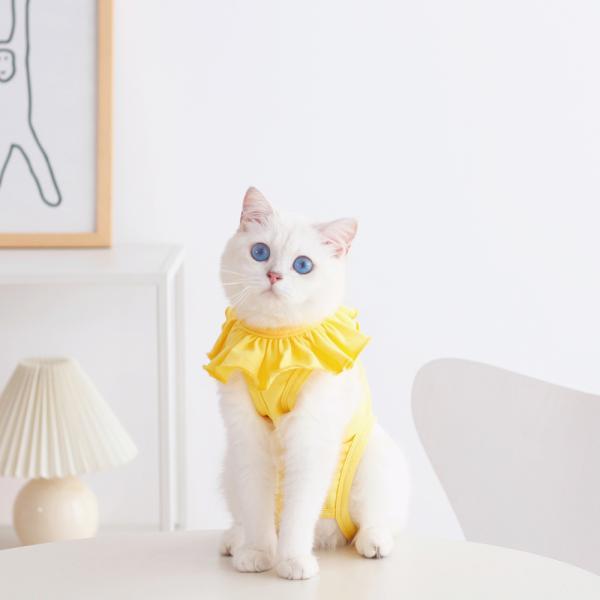 ご利用シーンやイベントなど: お正月 初売り 初詣 お年玉 成人の日 成人式 節分 バレンタインデー 桃の節句（ひなまつり） ホワイトデー 春物入荷 お花見 入学式 ゴールデンウィーク 母の日 衣替え 父の日 梅雨 夏物入荷 山開き 海開き...