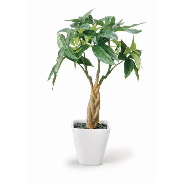 ご利用シーンやイベントなど: お正月 初売り 初詣 お年玉 成人の日 成人式 節分 バレンタインデー 桃の節句（ひなまつり） ホワイトデー 春物入荷 お花見 入学式 ゴールデンウィーク 母の日 衣替え 父の日 梅雨 夏物入荷 山開き 海開き...