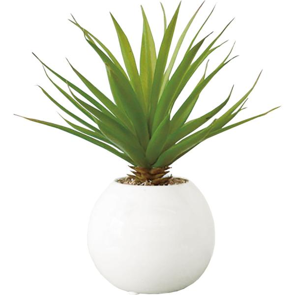 ご利用シーンやイベントなど: お正月 初売り 初詣 お年玉 成人の日 成人式 節分 バレンタインデー 桃の節句（ひなまつり） ホワイトデー 春物入荷 お花見 入学式 ゴールデンウィーク 母の日 衣替え 父の日 梅雨 夏物入荷 山開き 海開き...