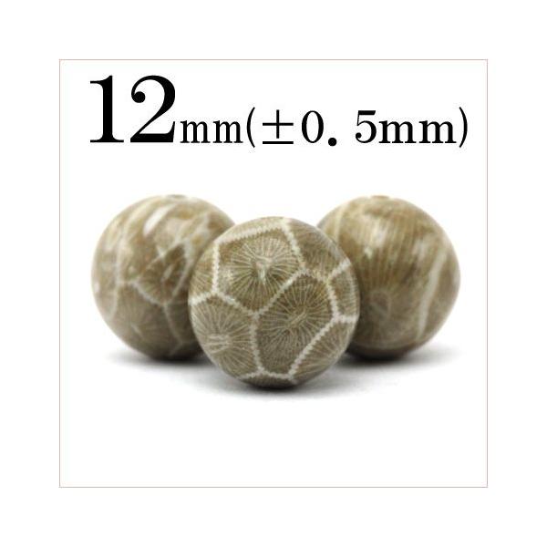 ペトリファイドコーラルは、その名の通り太古の珊瑚が化石となって石の中に入り込んだものです。 太古から蓄積された生命エネルギーを所有者に受け渡してくれ、疲労が軽くなり精力に漲るようになるといわれています。また女性を象徴し、安全な出産や産後の健...