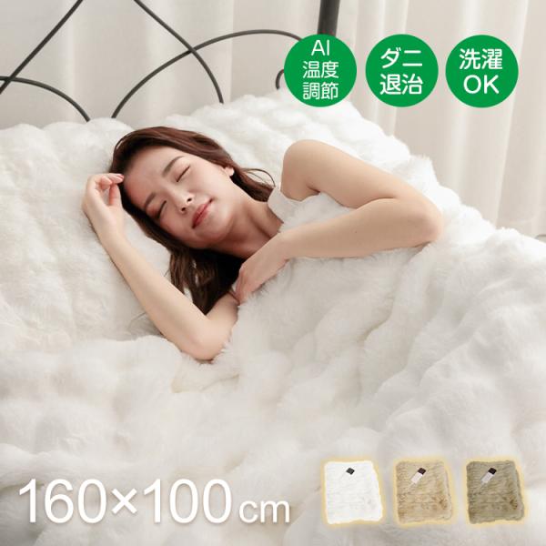 ■ふんわりぽかぽか！ふわとろ電気ブランケット■AI温度調節で自動的に一定の温度を保ちます。■手動でお好みの温度に6段階で調節も可能。■5段階の切タイマーで切り忘れを防止できます。■安心の赤ちゃんロック機能で誤操作を予防。■コントローラーを外...