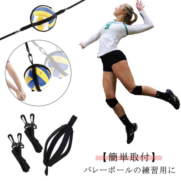 全長211-350cm(伸縮可) ボール部分：全長33cm