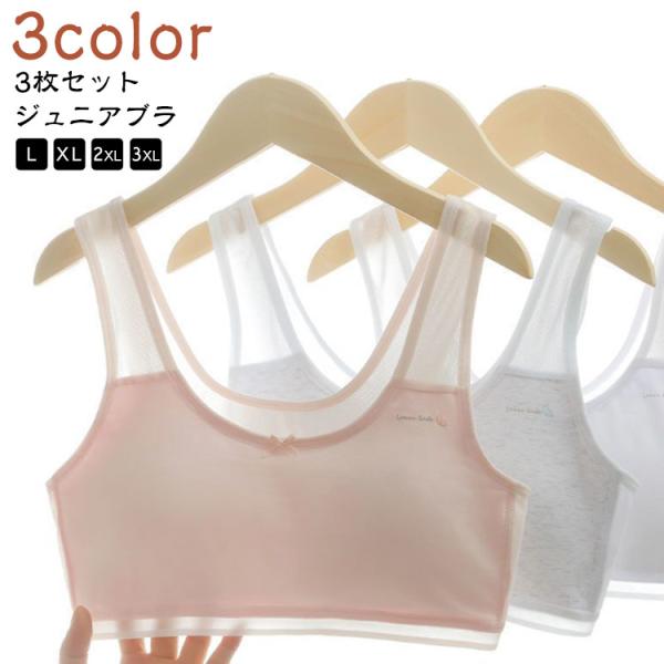 Lおすすめ体重30-40KGXLおすすめ体重40-53KG2XLおすすめ体重53-63KG3XLおすすめ体重63-75KG※サイズは平置き実寸になります。サイズ表の実寸法は商品によって1-3cm程度の誤差がある場合がございます