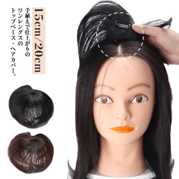 サイズ：直径6cm 長さ約15cm 20cm※サイズ計測には誤差が生じます。