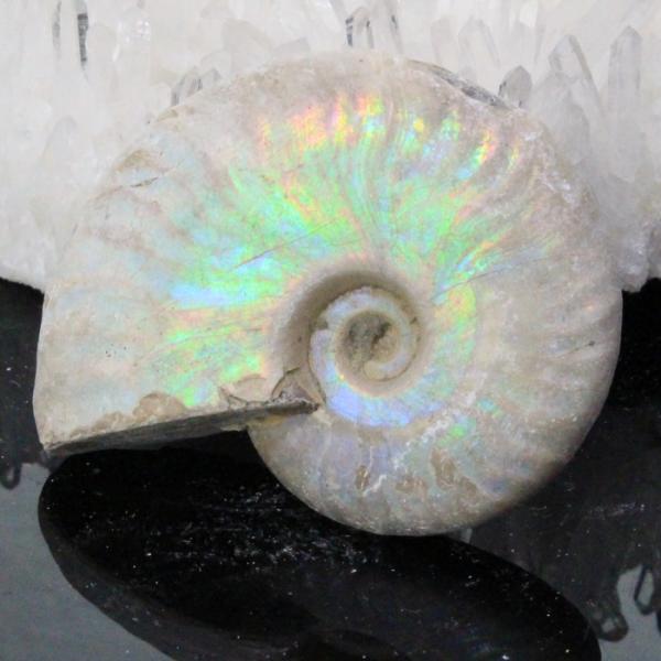 【サイズ】 48mm×40mm×15mm（原石の最長部計測）【重量】 37g【産地】　マダガスカル■天然石情報：フローライト■石言葉（意味・効果）：少しの希望、リラックス・癒し、精神の集中、未来への指標、活力、冷静な判断 フローライト◆和名...