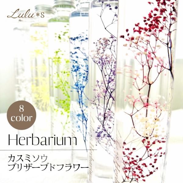 【発売日：2026年07月25日】【商品詳細】■商品名：カスミソウ ハーバリウム 8カラー■ブランド：Lulu＊s（ルルズ）■ボトルサイズ：直径約45mm×高さ約215mm■容量：約200ml■カラー：1.ピンク / 2.グリーン / 3....