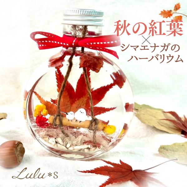 【発売日：2026年09月03日】【商品詳細】■商品名：秋の紅葉とシマエナガのハーバリウム（Lulu＊s-0681）■ボトルサイズ：幅約8cm × 奥行約4.5cm × 高さ約10.5cm（容量：150ml）■使用素材：ドライフラワー、プリ...