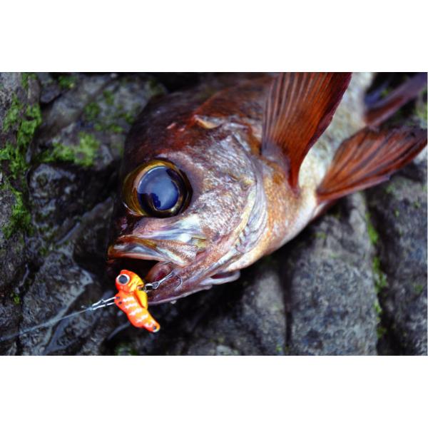 4.1g　30mm現存するメタルバイブの中でもメバル向きの物を何種類か試してきたが、それぞれ良く釣れるものの、どれも一長一短がある。特に「リトリーブで良く釣れる物」、「リフト＆フォールで良く釣れる物」。フルキャストした遠距離ではバイブ感が感...