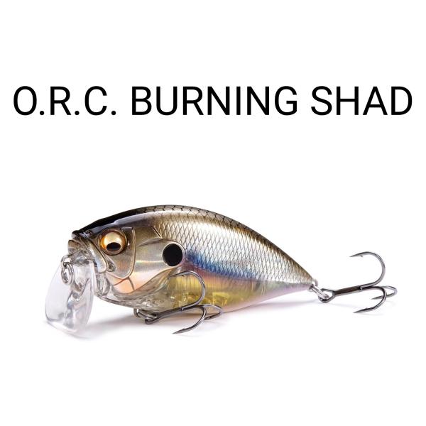 バーニングシャッドは、「ロールドライブインパクト」を「コンパクトなボディ」で「最大化」した小型シャッド。レブリミッターを振り切ったエンジンのような驚異の超速ロールは、「GYRO（ジャイロ)・バランシングLBO」による“起き上がりこぼし原理”...