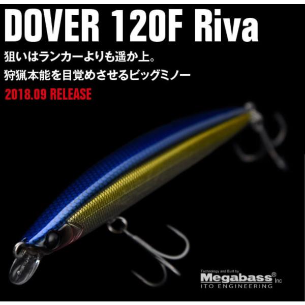 パイロットルアーとして生まれたDOVERシリーズ。近年必須である飛距離を追いつつも、ルアーの根幹であるアクションやレンジキープ力などをスポイルさせず、信じて投げ続けられる確かなモノとして作り込んだ。着水後は素早く始動し、適度な引き抵抗で設定...